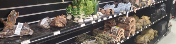 Store - Snake Discovery